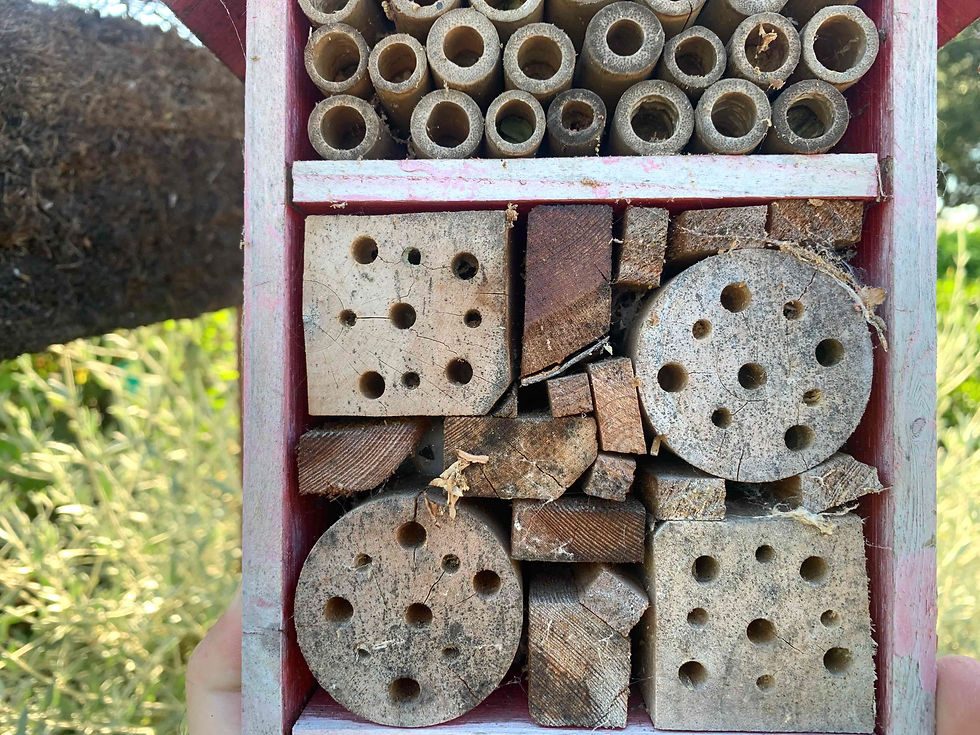Native Bee House Seasonal Care Instructions | Resources | Planet Bee Foundation